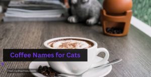 Cool Food Names For Cats | Food Related Name Ideas [2025]