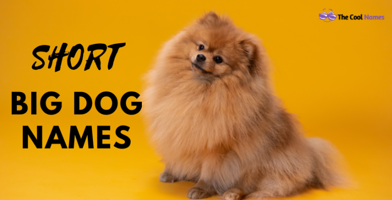 330+ Big Dog Names Ideas | Nicknames For Gentle Giant Dogs