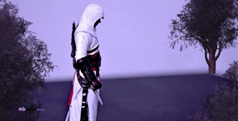 250+ Cool Assassin Names And Nicknames For Gamers