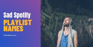 Spotify Playlist Names Ideas | Essential Name List For You