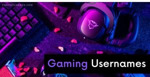 1200+ Cool Gaming Usernames [Perfect For Gaming Birds]