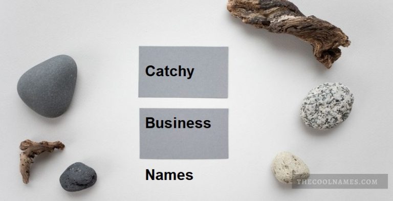 350+ Unique Cute Business Names For Startup Or Online Store