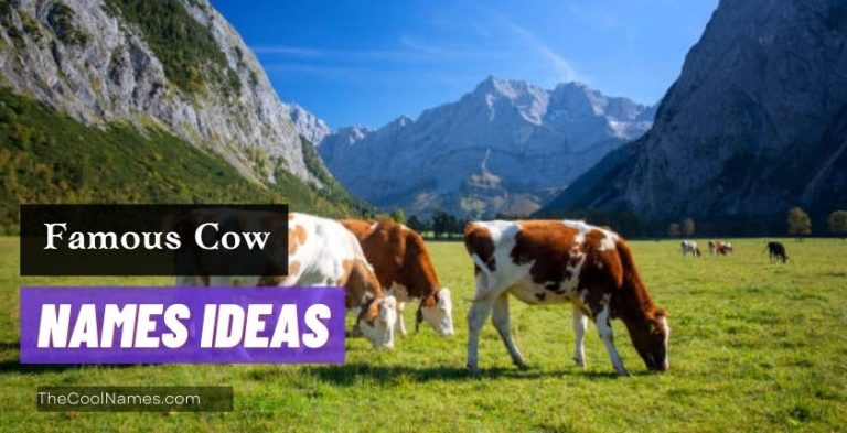 250+ Badass Cow Names Ideas For Cute, Funny And Cool Cows
