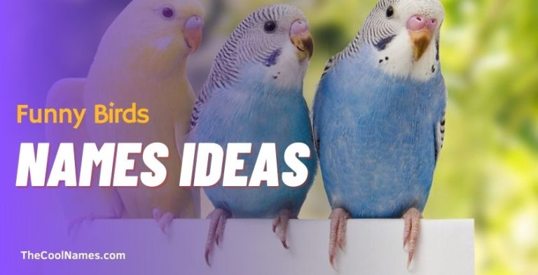 Cool Birds Names Ideas For Red, Blue And Green Birds [2026]