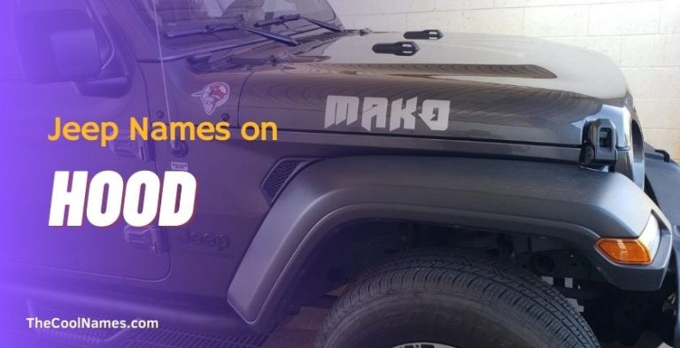 1450+ Badass Jeep Names Ideas For Cool, And Colorful Jeeps