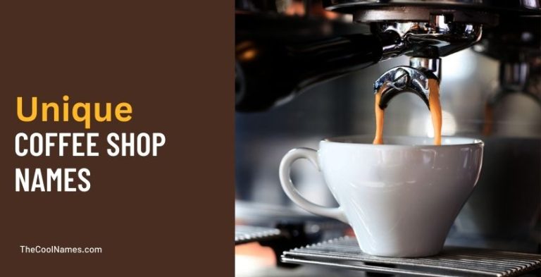 401+ Catchy Coffee Shop Names For Your New Business In 2025
