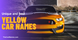 Cute Yellow Car Names Ideas For Your New Golden Ride