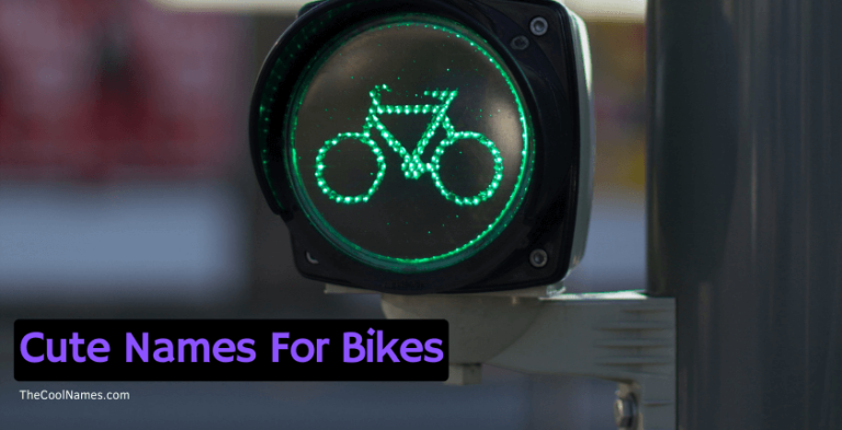 Cute Names For Bikes: Badass, Funny And Evil Bike Names 2026