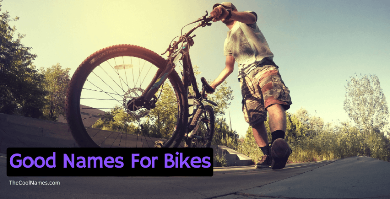 Cute Names For Bikes: Badass, Funny And Evil Bike Names