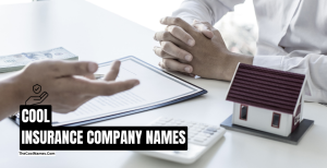 Cool Insurance Company Name Ideas In 2025