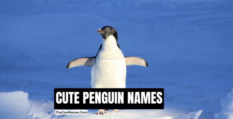 Penguin Names | Best, Cute And Most Popular Name Ideas