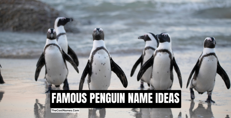 Penguin Names | Best, Cute And Most Popular Name Ideas