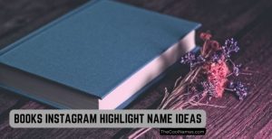500+ Unique Instagram Highlight Name Ideas [2025]