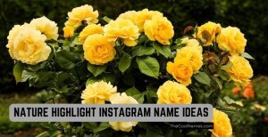 500+ Unique Instagram Highlight Name Ideas [2025]