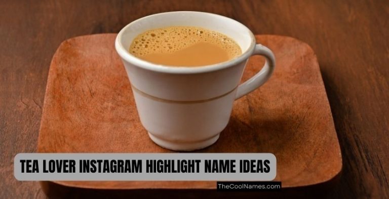 500+ Unique Instagram Highlight Name Ideas [2025]