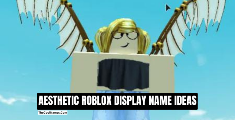 410+ Roblox Display Names And Ideas For A Perfect Name