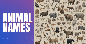 138 Animal Names In English And Classification [A-Z List]