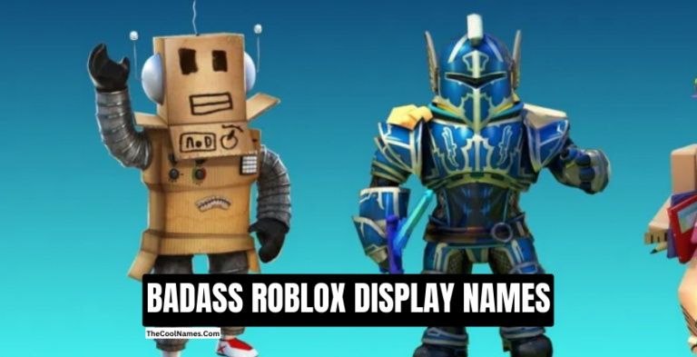 410+ Roblox Display Names And Ideas For A Perfect Name