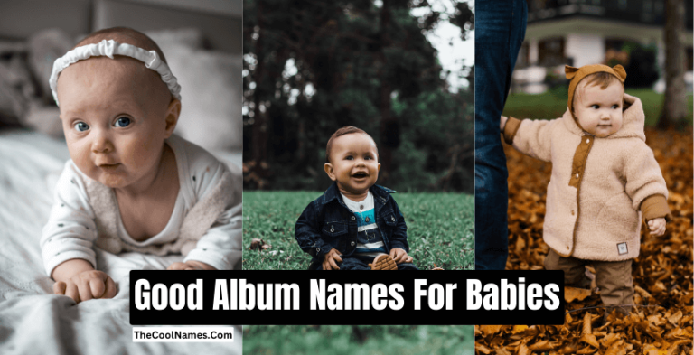 Photo Album Name Ideas [Perfect Title Ideas In 2025]