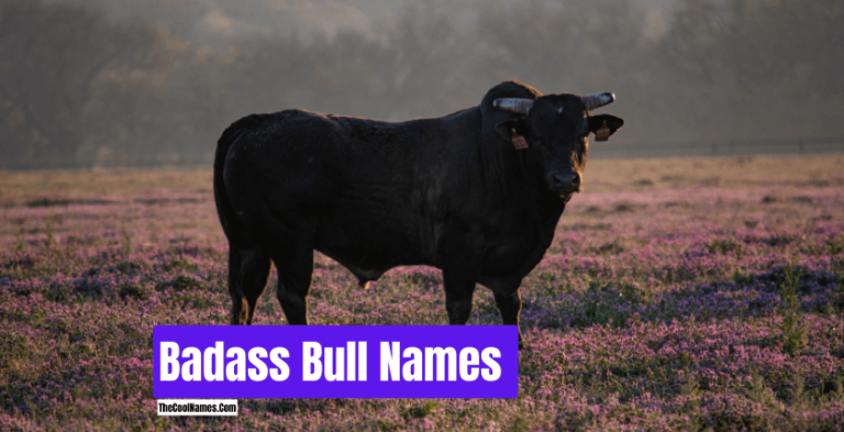 Best Bull Names List And Ideas For Strong Bulls In 2025
