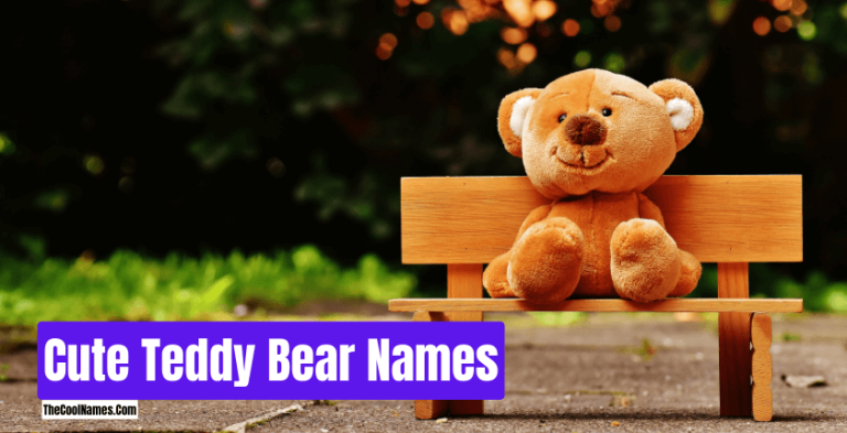 Badass Teddy Bear Names List For Your Cute Friend [2025]