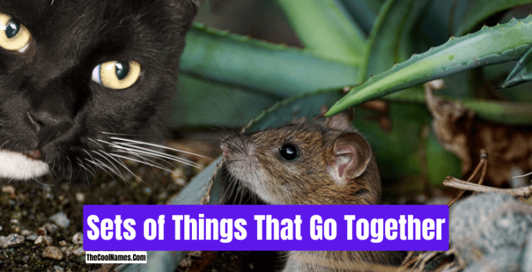 Creative List Of Things That Go Together In Pairs In 2025